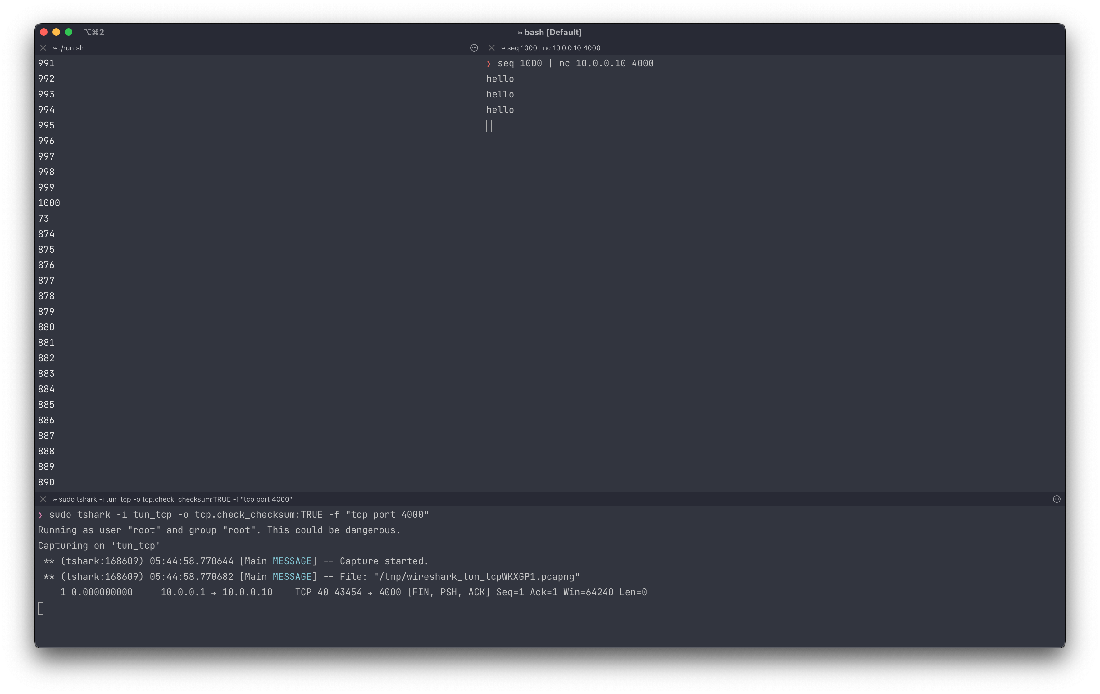 Implementing Tcp In Rust Attempt 2 Golang • Timothy Andrew